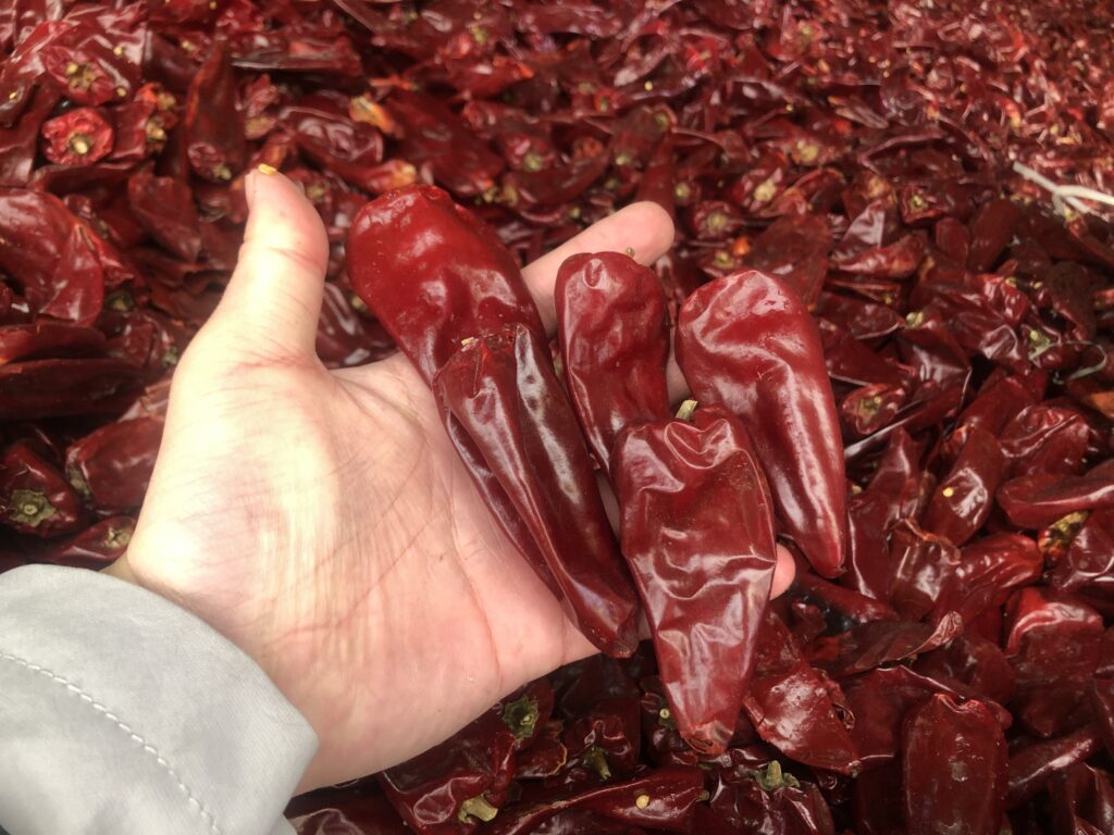 Global Dried Chilli Export Destinations & China's Varieties in 2024